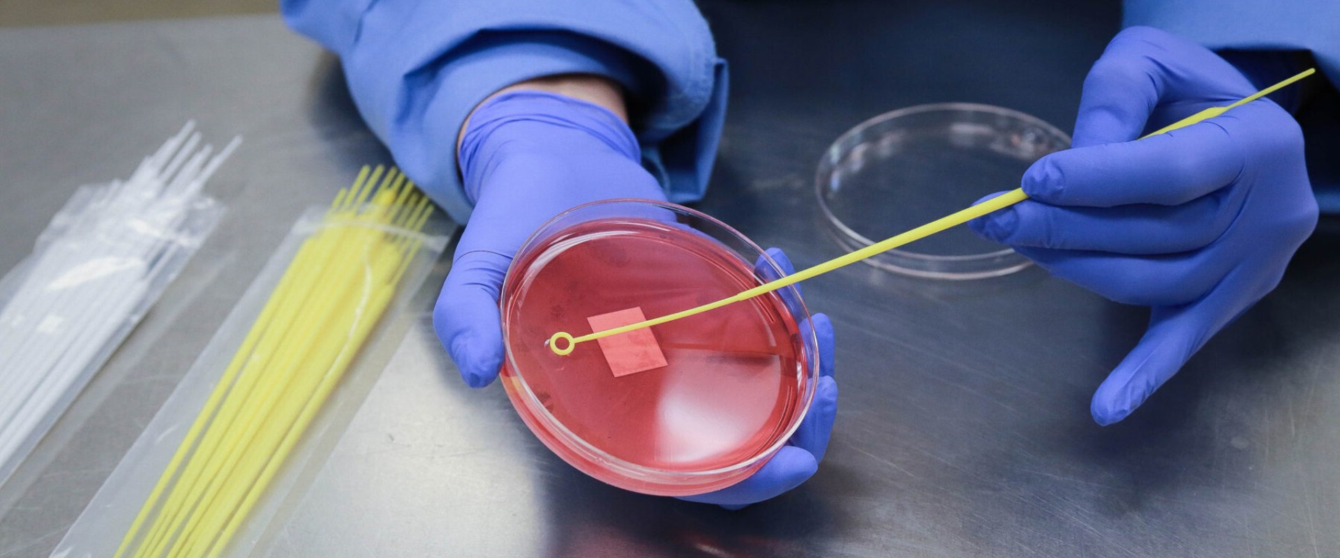 Mill Auto Parts | Vehicle Manufacturing Experts