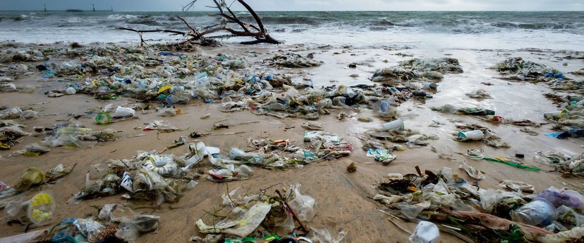 Water Pollution from Automotive Manufacturing Processes